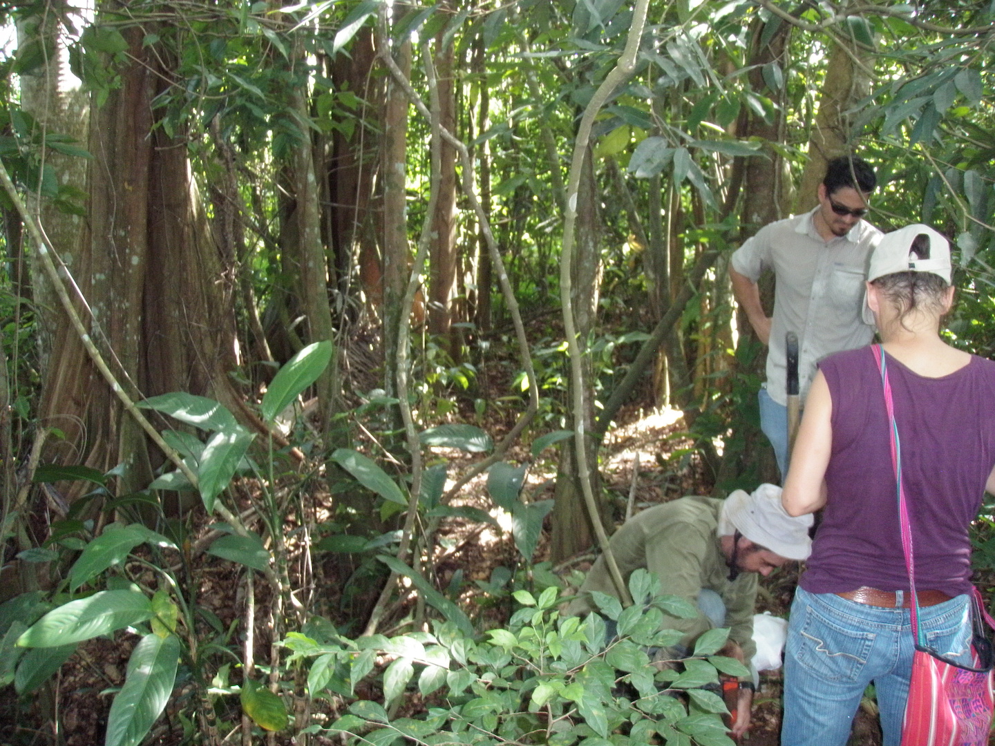 Integrated Natural Resources Management Plan (INRMP), Endangered ...